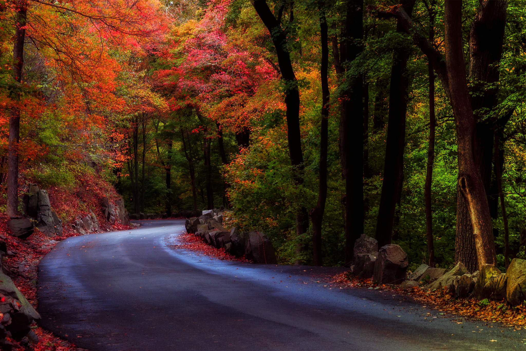 Winding Road Through Autumn Forest Evoking Journey and Discovery ...