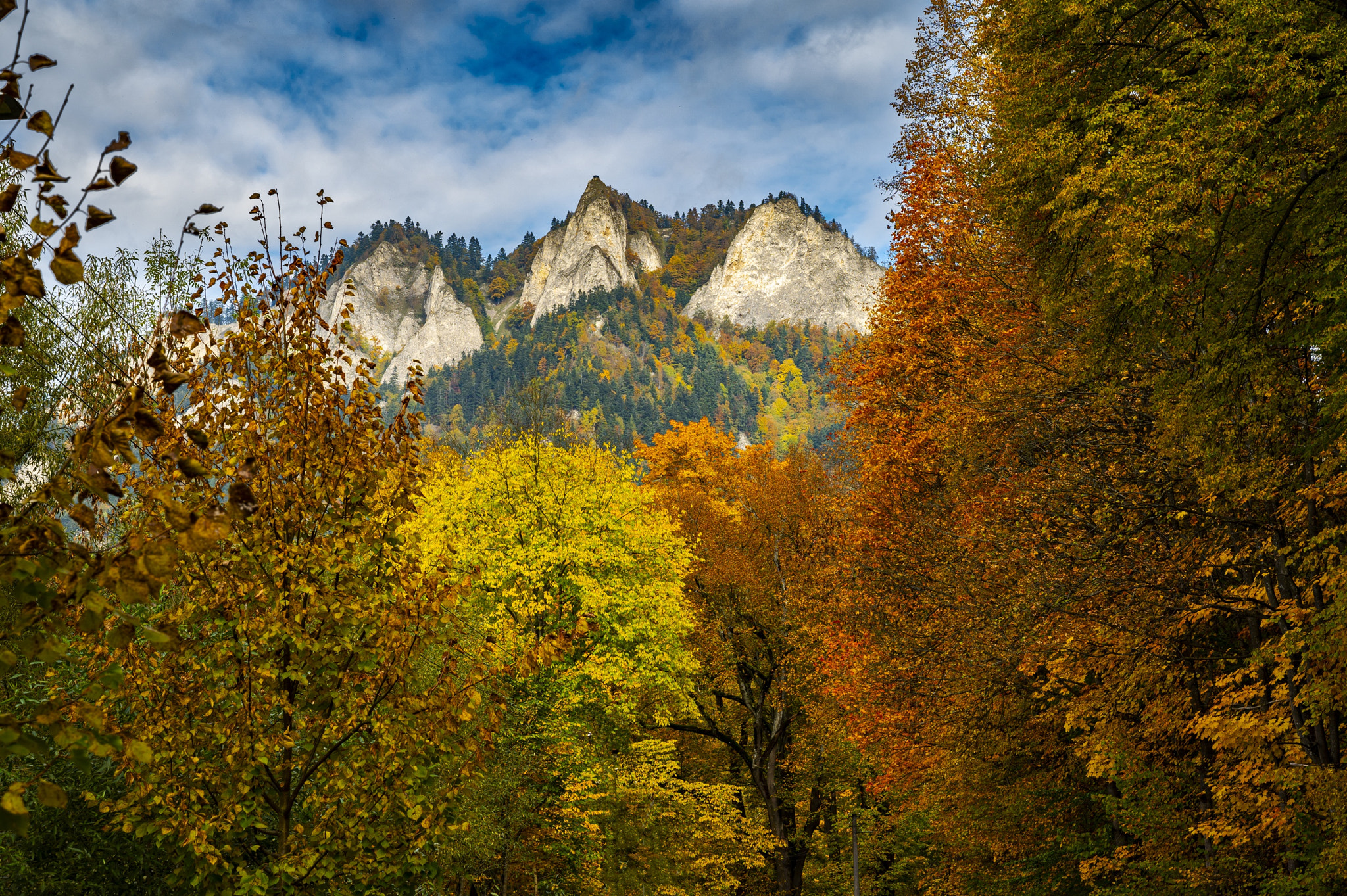 Autumn Mountains Showcase Vibrant Change and Natural Grandeur ...