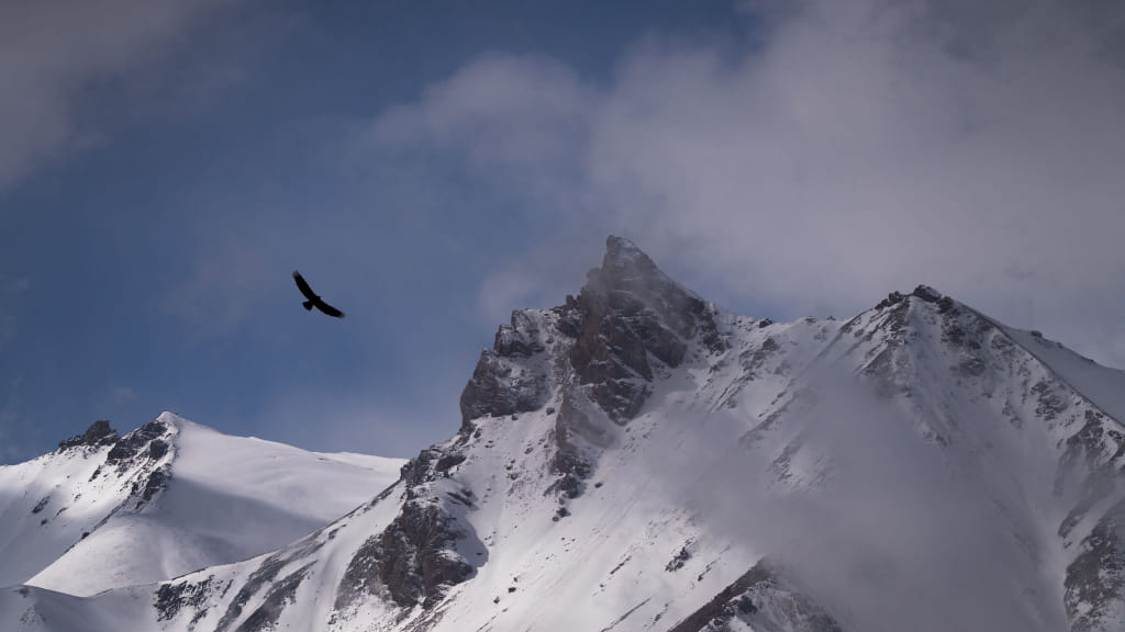 I had a daydream by ssss nnnn | 500px