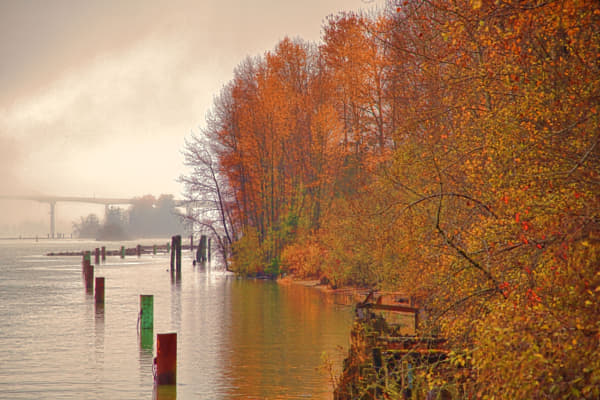 Autumn Shoreline Reflects Tranquility and Seasonal Transition ...