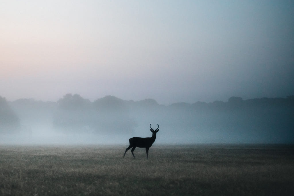 Noy 02 by Erik Rozman | 500px