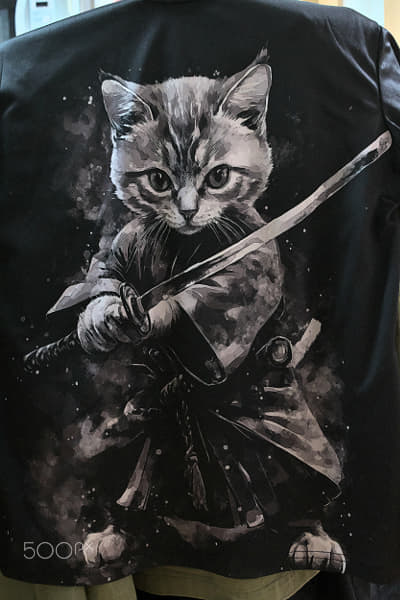 cat samurai by Lupin the Nyan | 500px