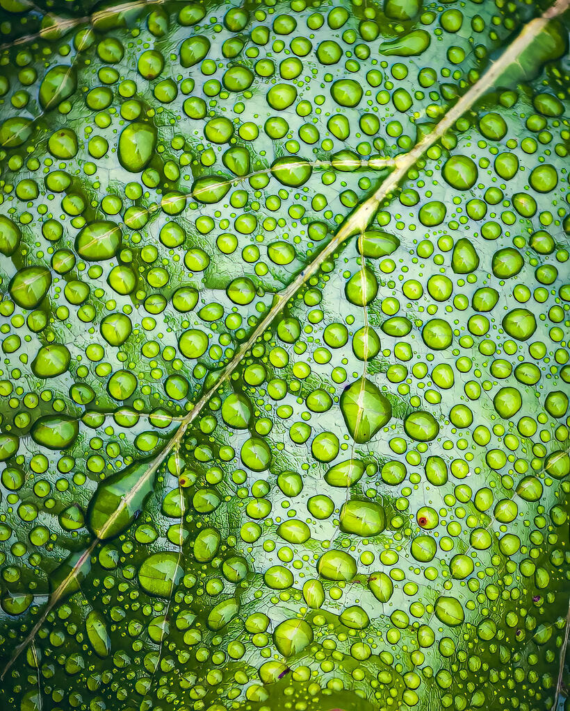 Graceful Form in Motion | people photo by Igor Koshelev | 500px