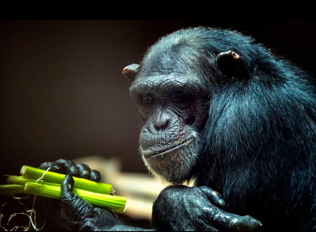 Woman Leans Gracefully Embodying Quiet Contemplation | people photo by ...