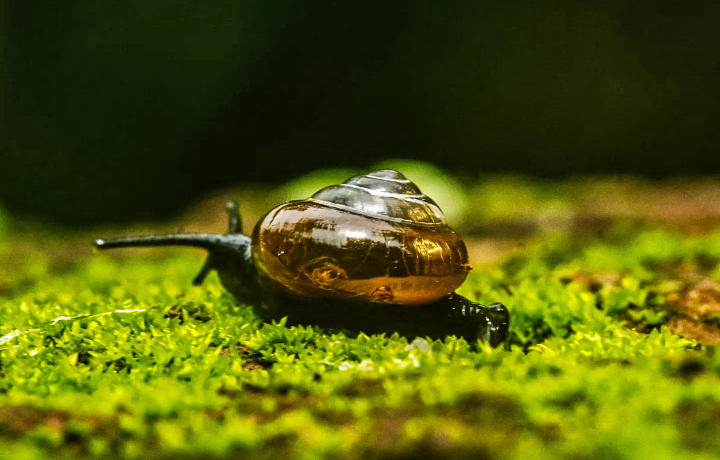 海边骑马体验 Riding by the sea by JS孙小美 | 500px