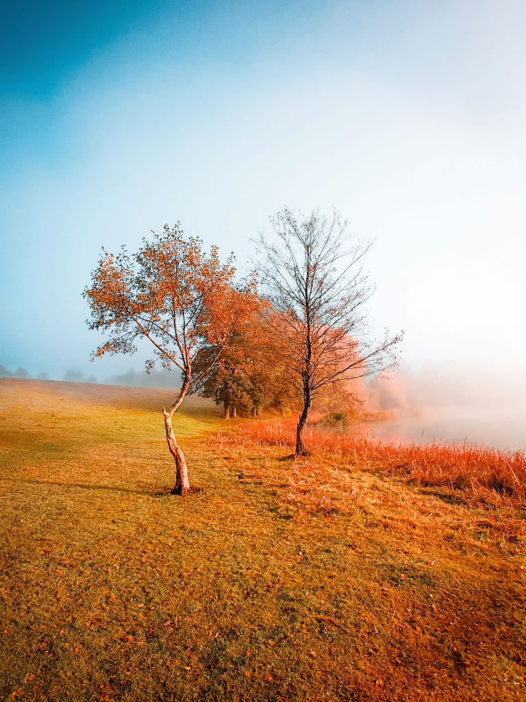 Niles by Erik Rozman | 500px