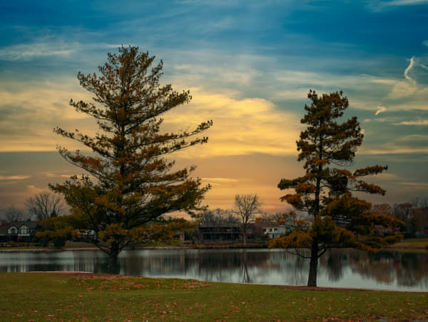 Twin Trees Stand Guard Over Tranquil Waters at Dusk | landscape photo ...