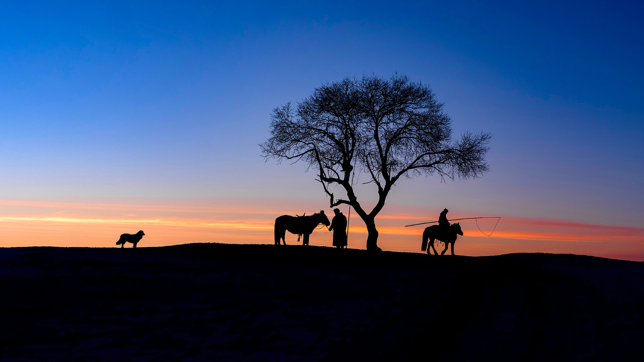 Last Light by Michael Steverson | 500px