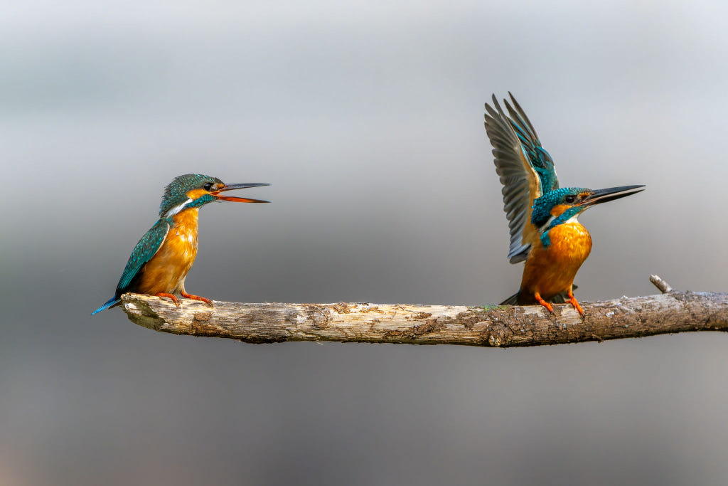 Photographer Milan Junek by Milan Junek | 500px