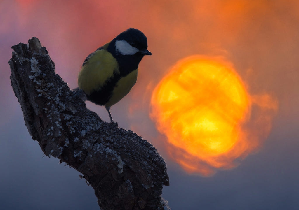 Leadership Identifies Key Individual for Development | creative photo by Andrii Yalanskyi | 500px