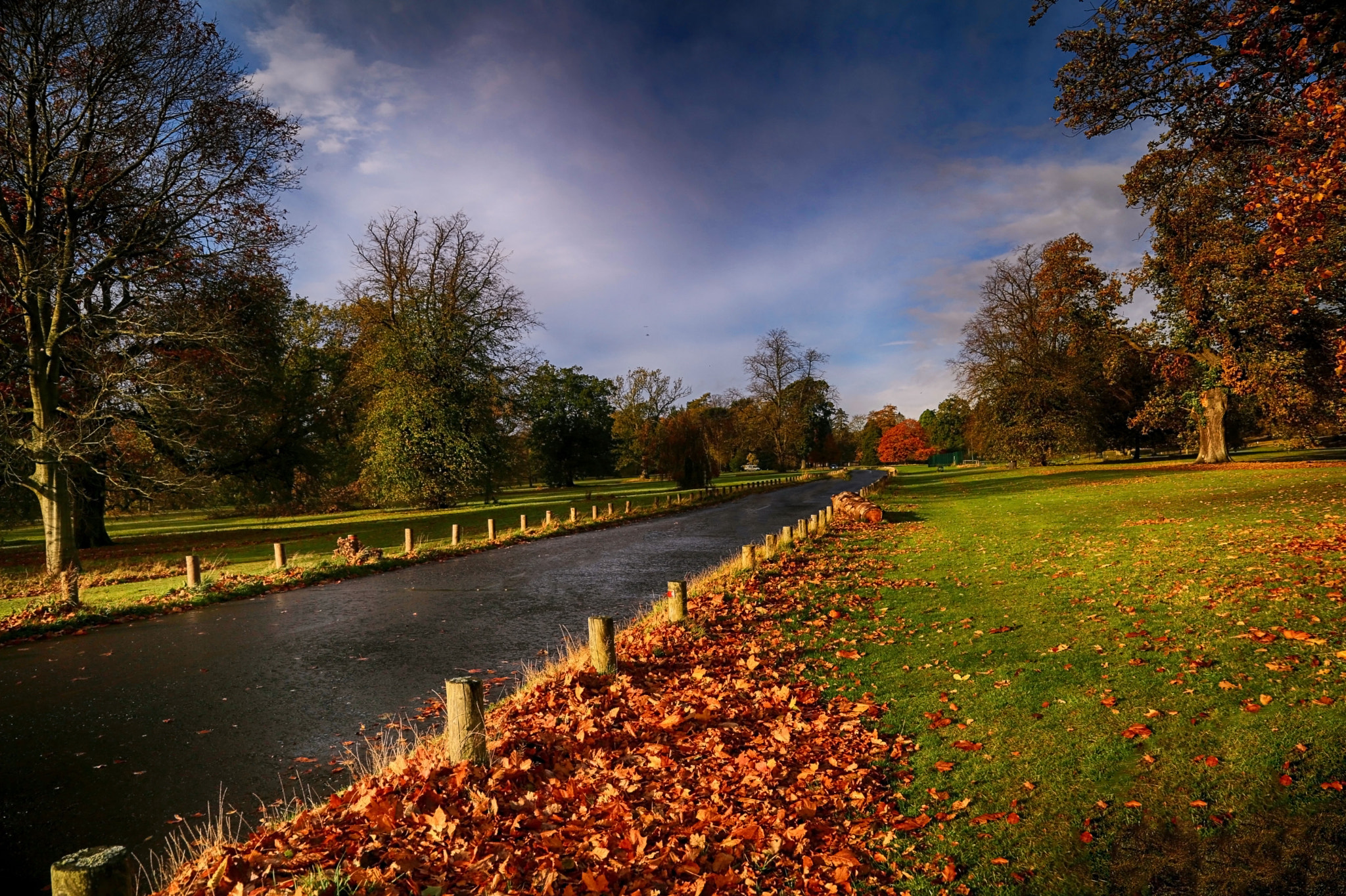 Autumnal Riverbank Radiating Peace and Seasonal Transition | landscape ...