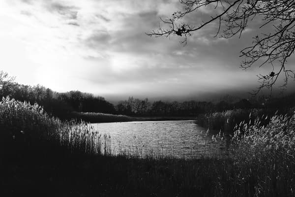 Misty Lake Reflects Somber Sky Symbolizing Solitude and Reflection ...