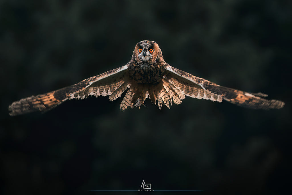 Intimate Portrait of Feminine Form | people photo by Florestan | 500px