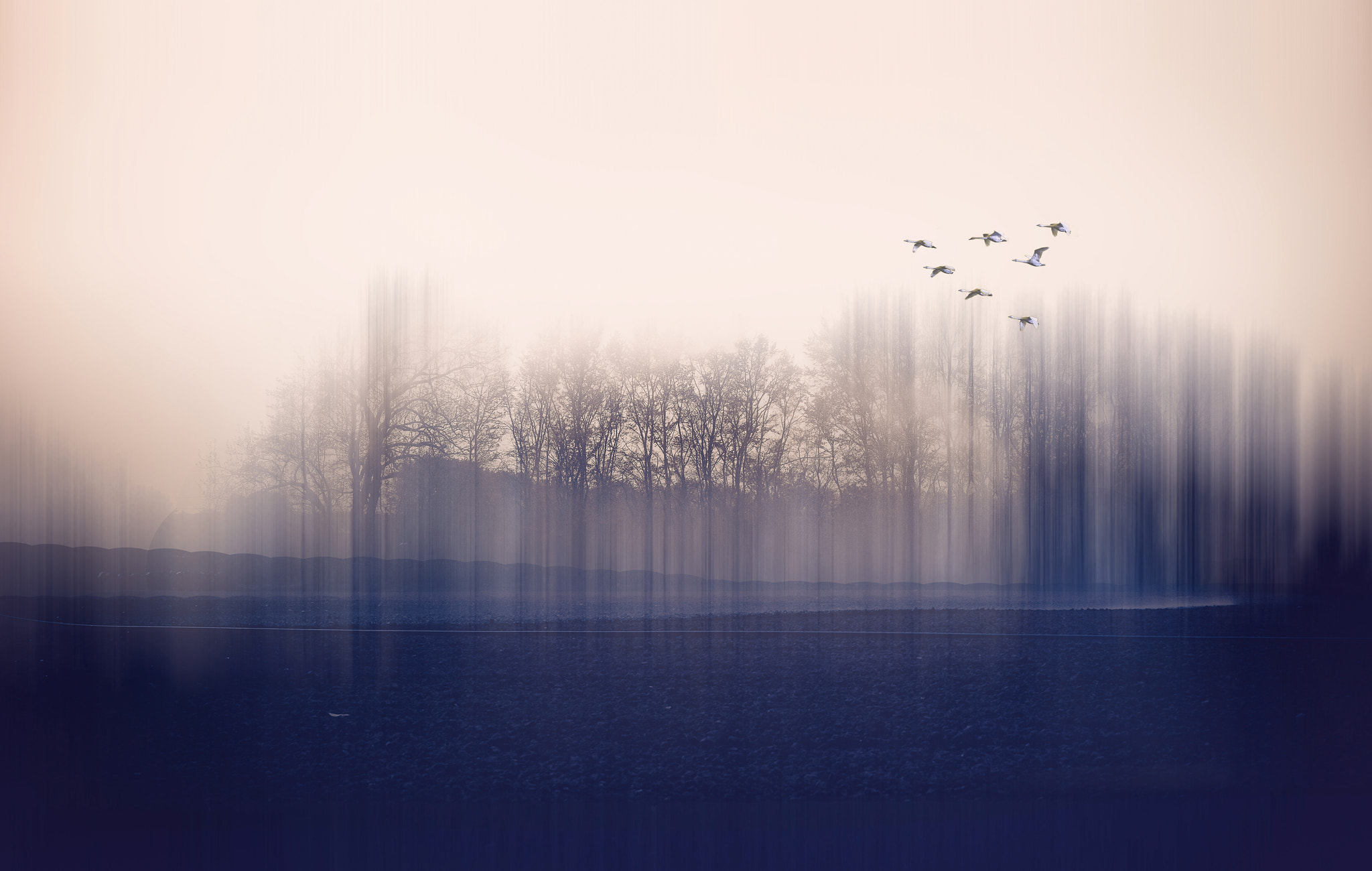 Abstract Forest Reflects Dreamlike Tranquility | creative photo by ...