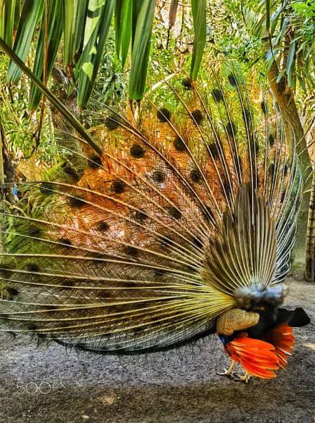 Terry Wells's Photos & Galleries | 500px