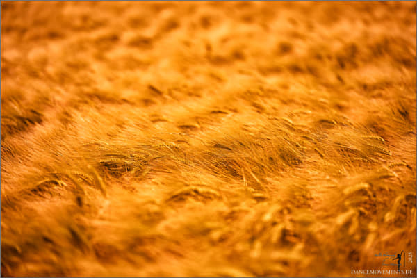 Normandie by Dancemovements DE | 500px