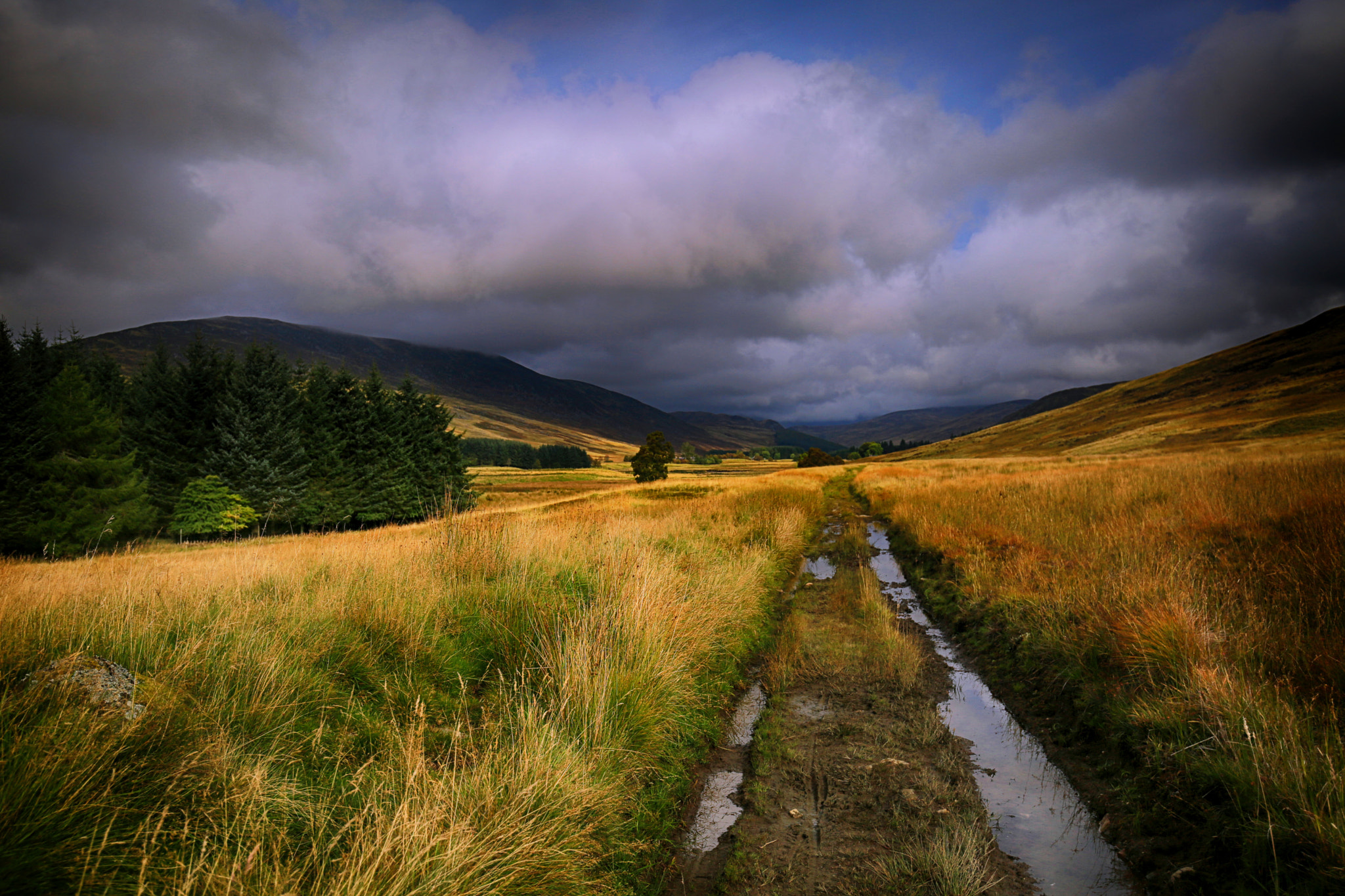 Vast Landscape Under Cloudy Sky Evokes Solitude and Grandeur ...