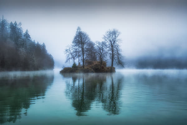 Misty Lake with Island Trees Evoking Serene Solitude | landscape photo ...