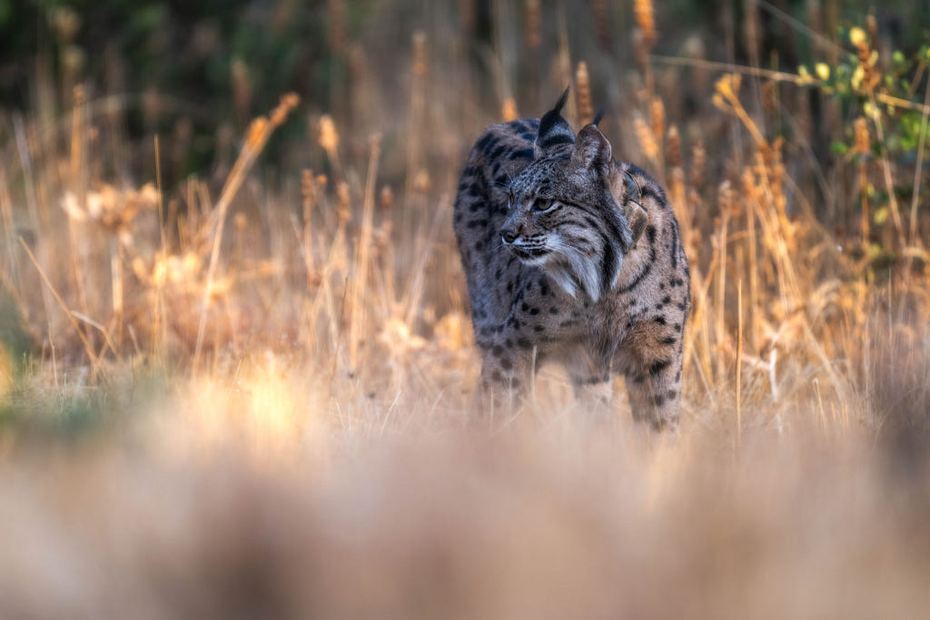 probing.. by 3 Iceblue | 500px