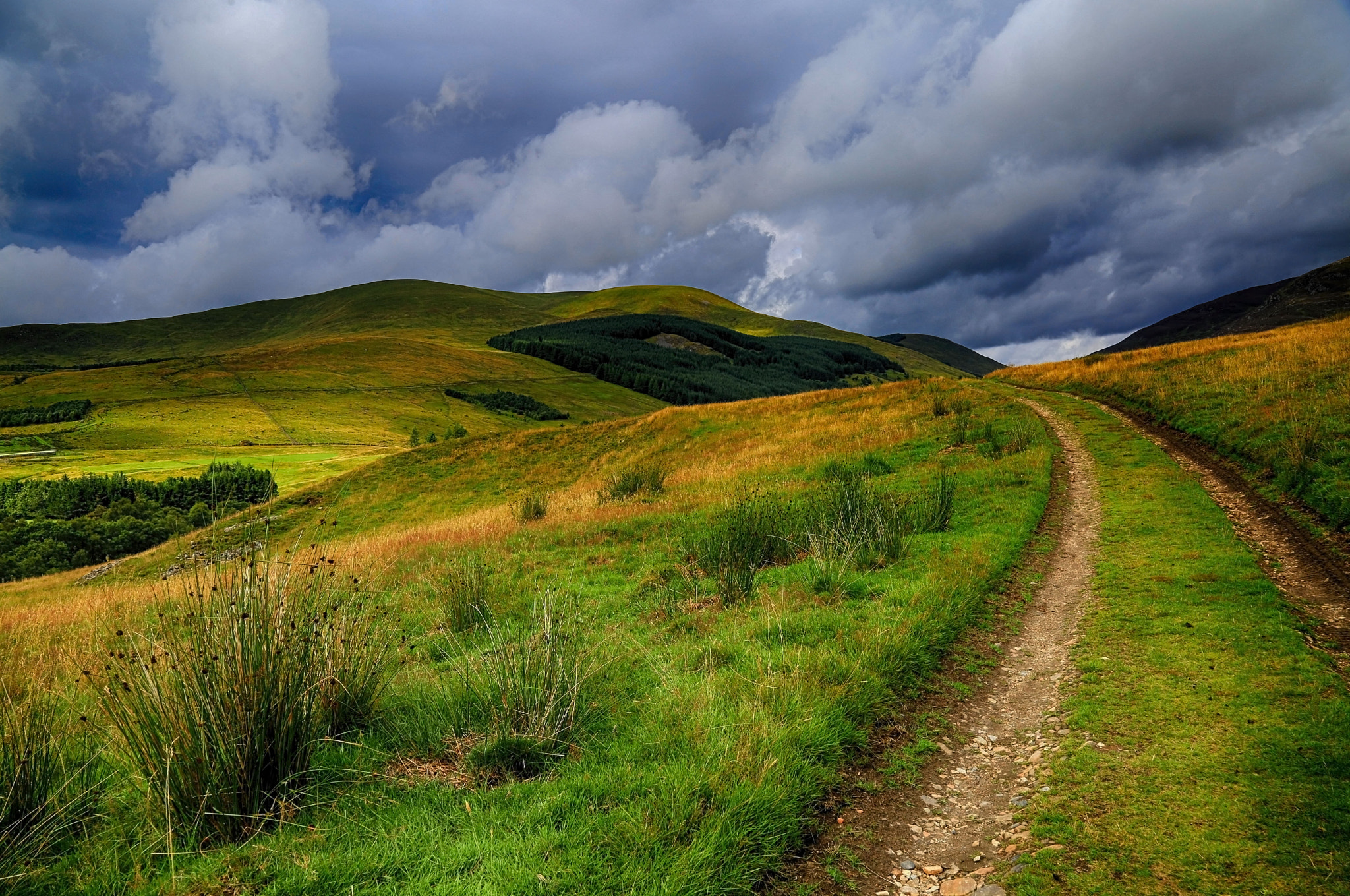 Winding Path Symbolizes Journey and Future Possibilities | landscape ...