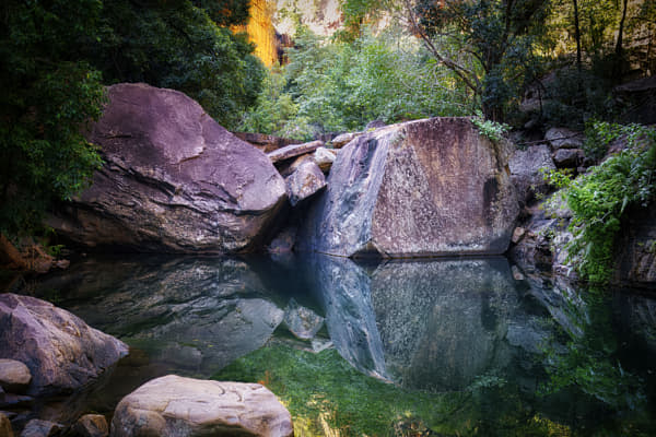 Secluded Forest Pool Offers Refreshing Natural Sanctuary | landscape ...