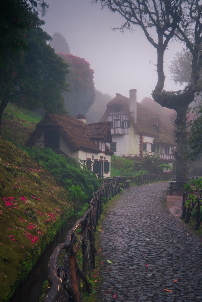 Cobblestone Path Leads to Enchanted Village in Mist | city photo by ...