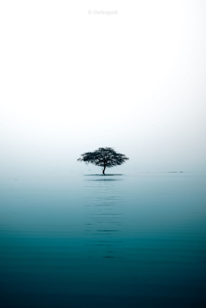 Яна by Albert Lesnoy | 500px