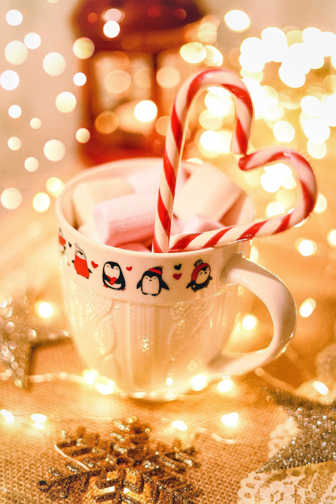 Rugged Coastline Evokes Power and Enduring Resilience | landscape photo ...