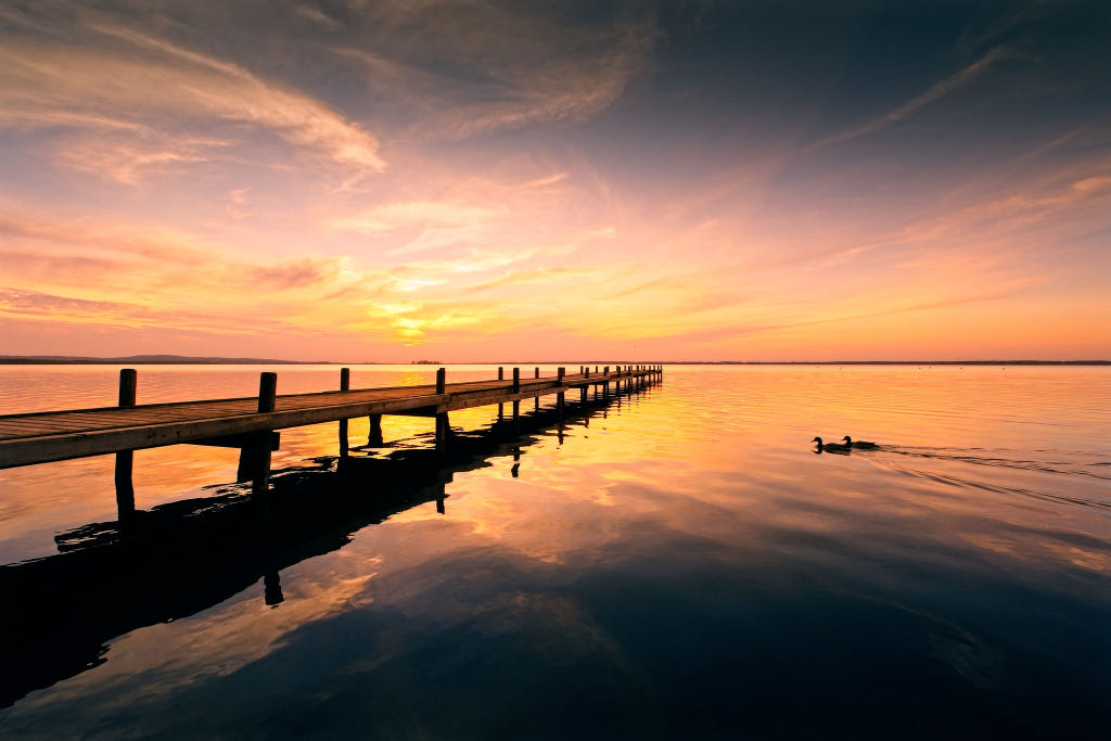 Image_20240731_092346_516.jpeg by lak ruby | 500px