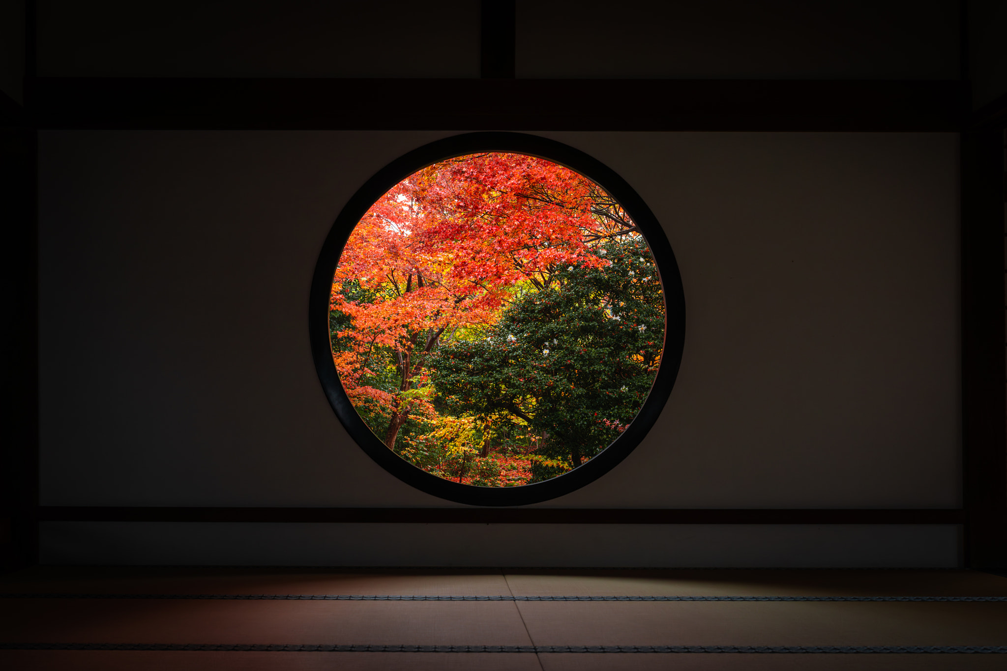 Circular Window Framing Autumnal Foliage | creative photo by Rex Chang ...