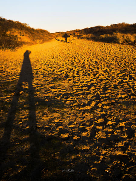Long Shadow on Sandy Path Symbolizing Journey and Solitude | landscape ...