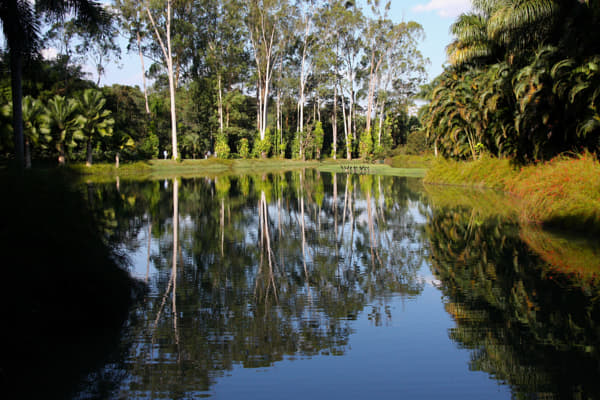 Reflections at Inhotim Museum by David Schmitz | 500px