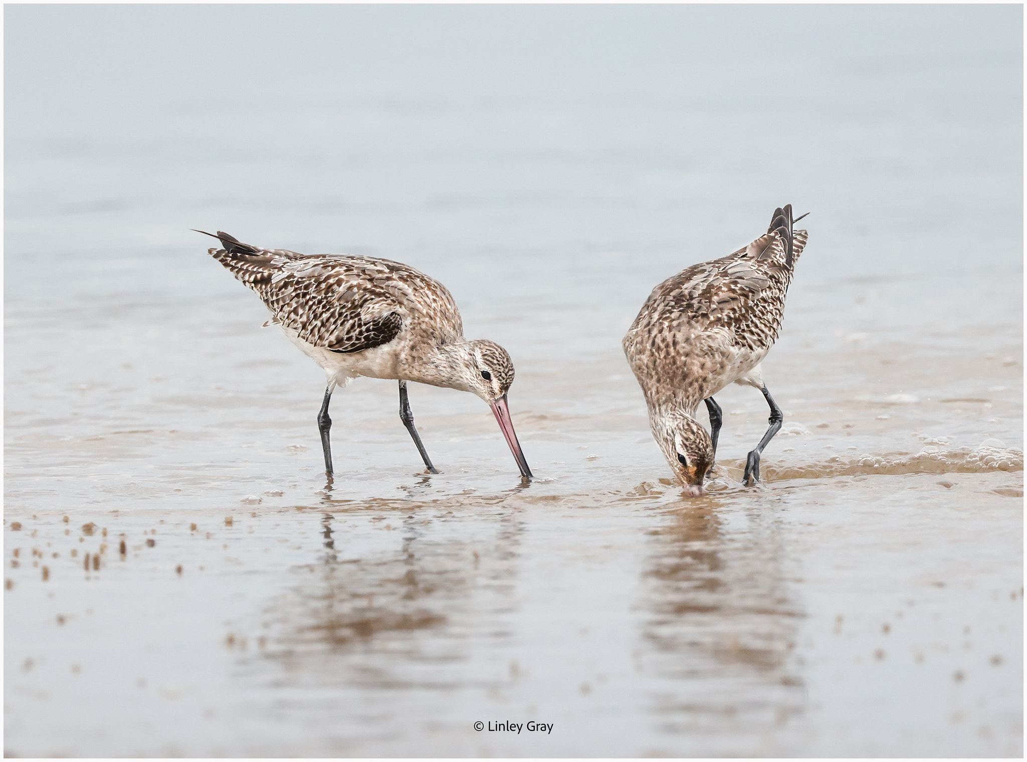 probing.. by 3 Iceblue | 500px