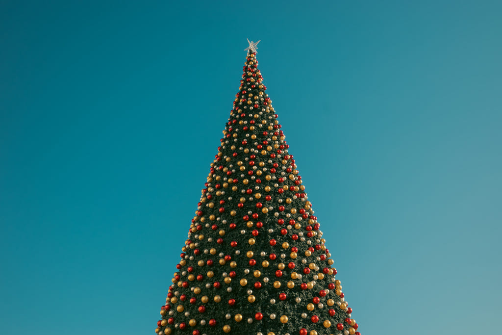 2023-02-09_10-55-06_000 (2023-02-23T19_51_04.015) by Lara Garcia ...