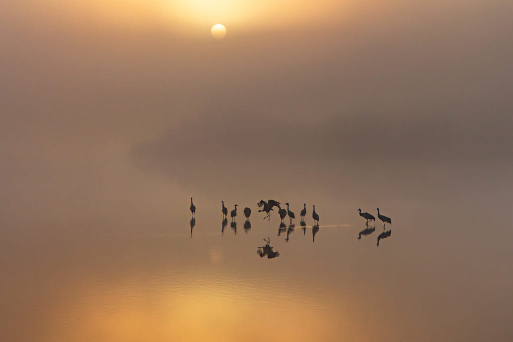 Coastal Cliff Overlooking Serene Ocean Symbolizing Tranquility and ...