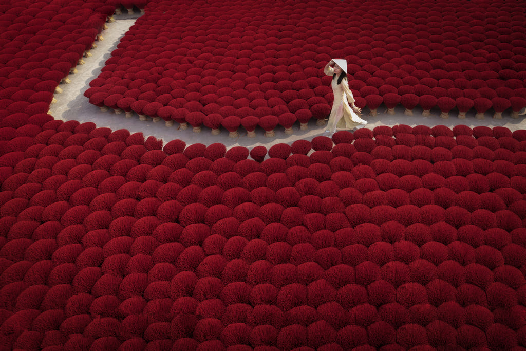 Vermillon flight catcher by marialucia ucros | 500px