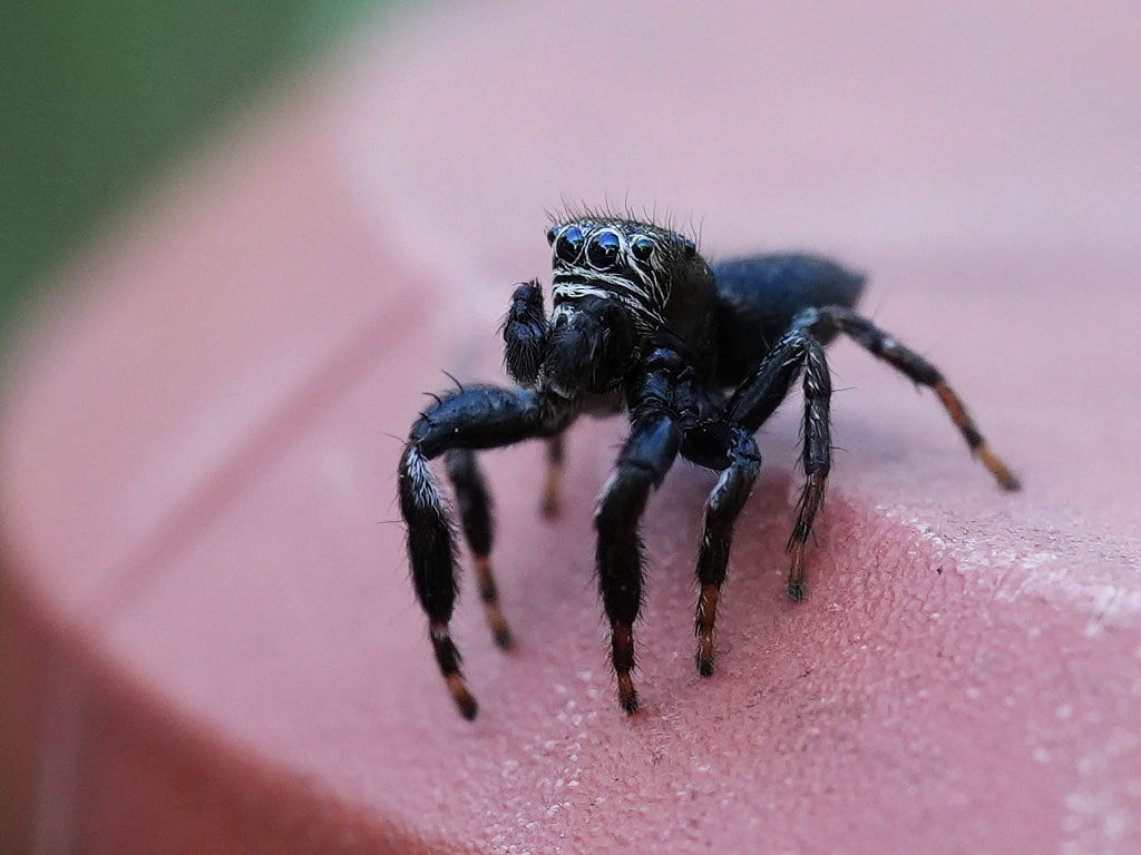 Cryotos Why Public Sector Companies use Asset Management to be ...