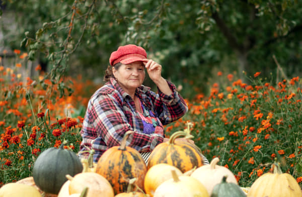 Farmer with Pumpkins Symbolizing Harvest Abundance and Rural Life ...