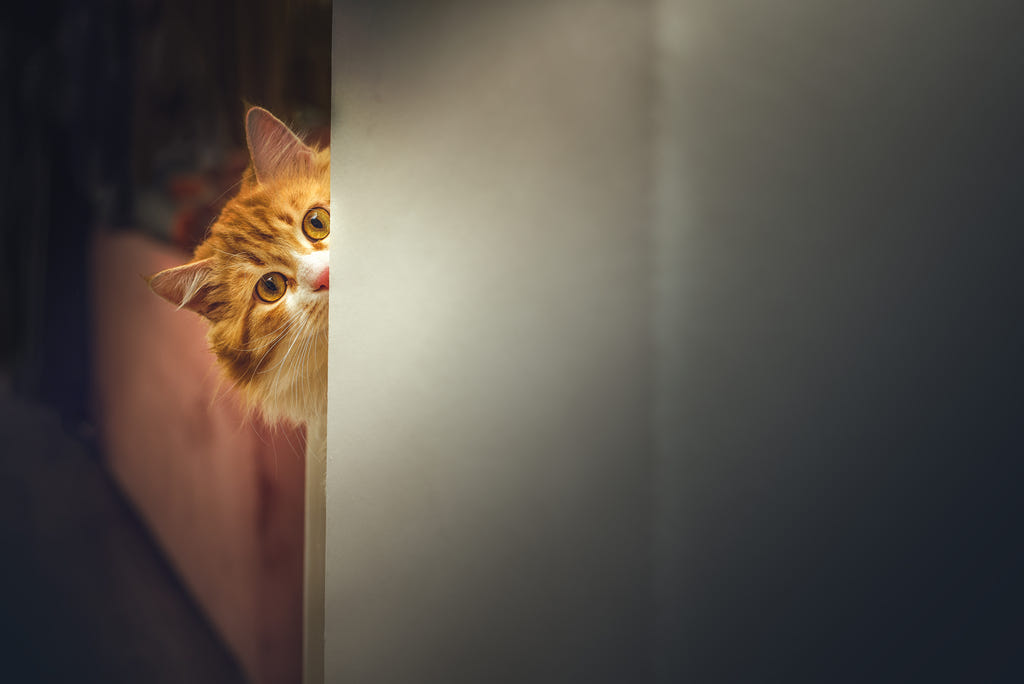 a cafetaria building by Yarr Anggara | 500px