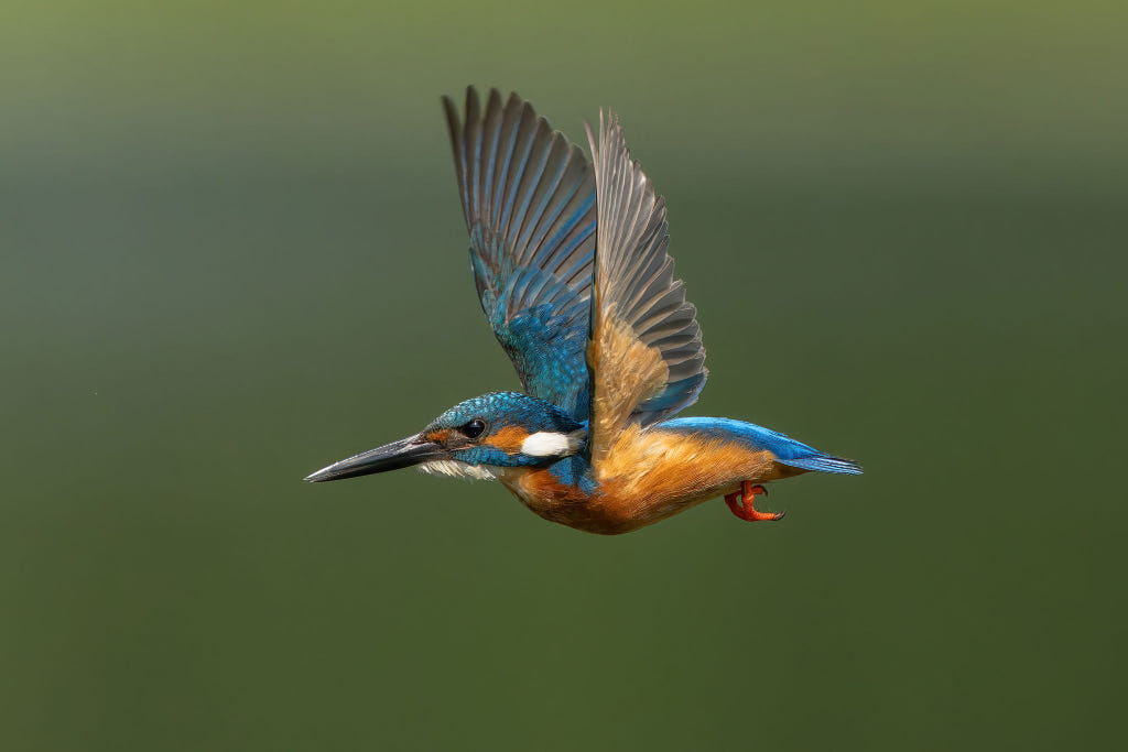 Woman's Gaze Reflects Vulnerability and Inner Strength | people photo ...