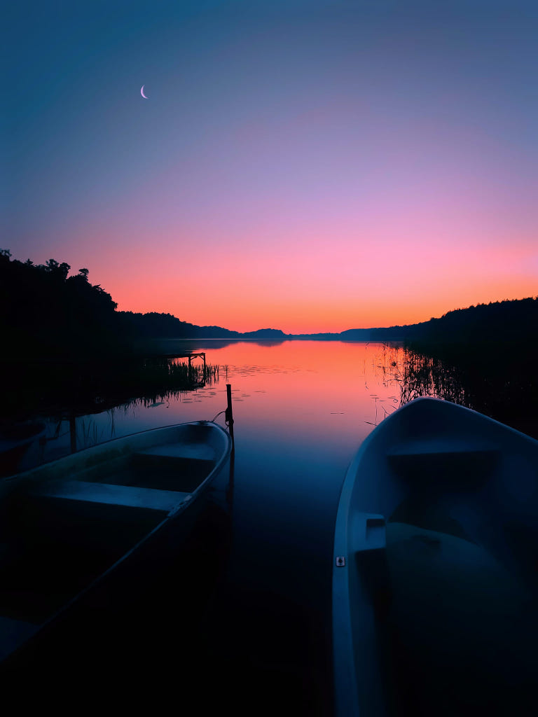 Vermillon flight catcher by marialucia ucros | 500px