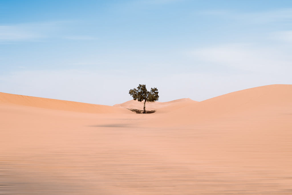 Thoughtful Woman with Dark Curly Hair | people photo by Lady.s ...