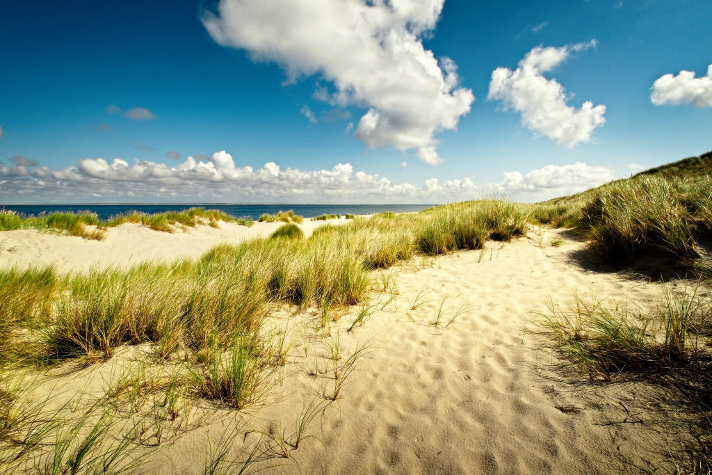 Zen mode by Takuya Matsuyama | 500px