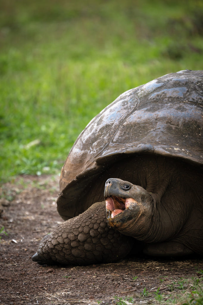Cast N Bronze by ken canady | 500px