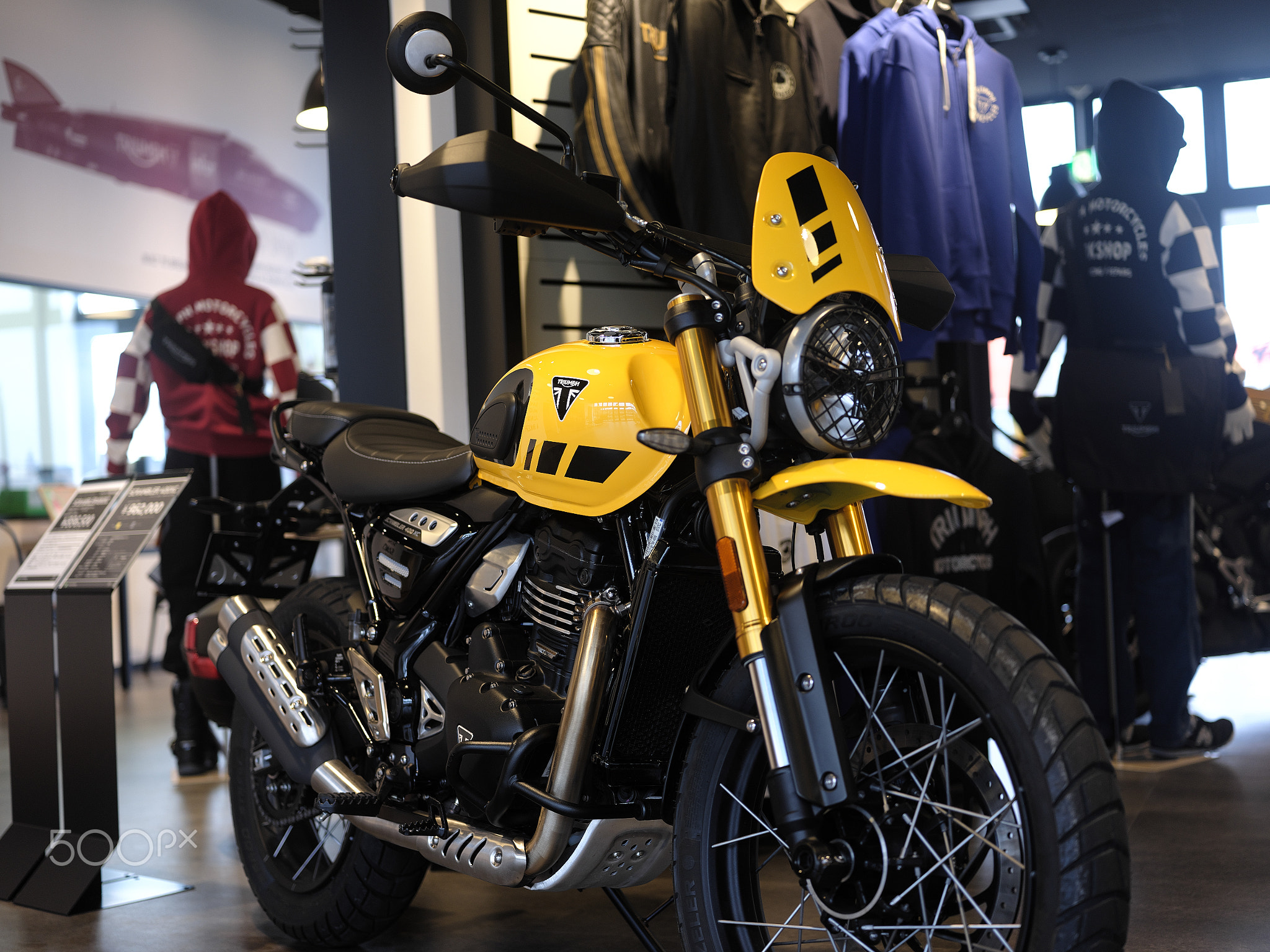 A very attractive yellow by Lupin the Nyan | 500px