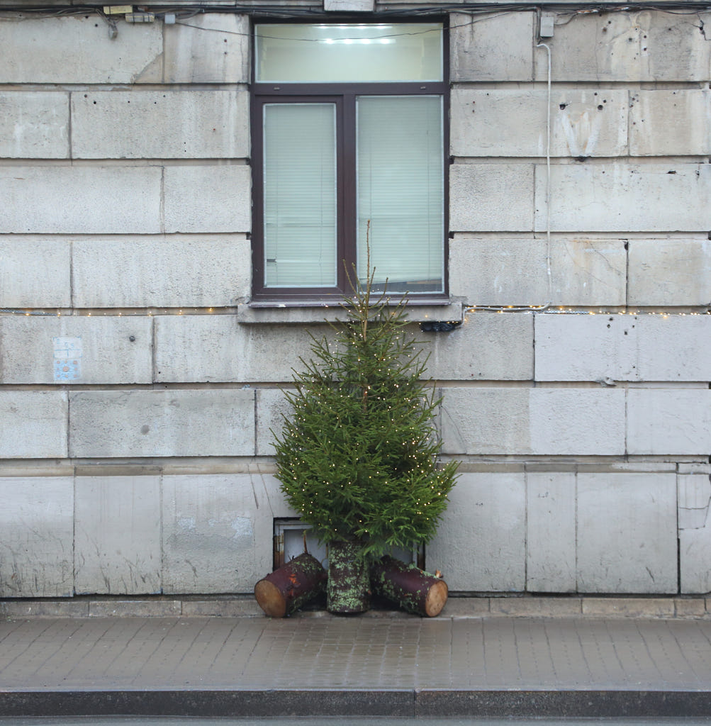 Christmas tree on the sidewalk by Станислав Вершинин | 500px