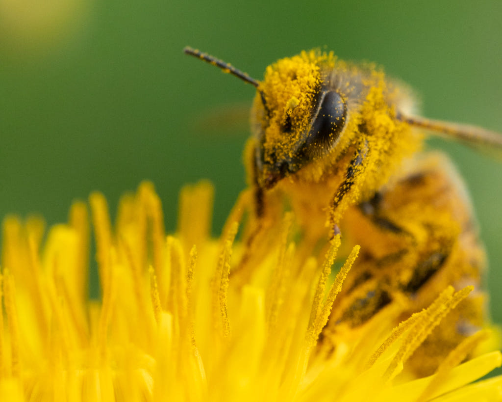 Nude Figure Poses Artfully in Studio Displaying Grace and Form | people ...