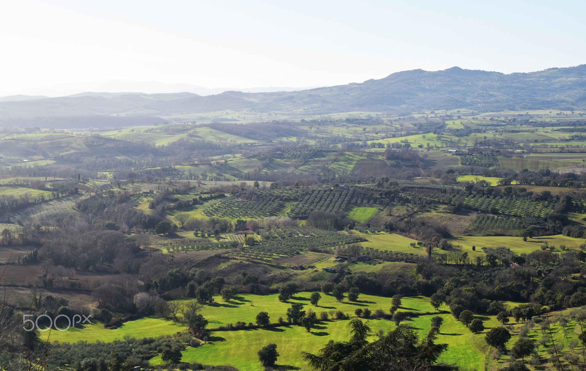 Rolling Green Hills Under Clear Sky Portraying Abundance and Peace ...