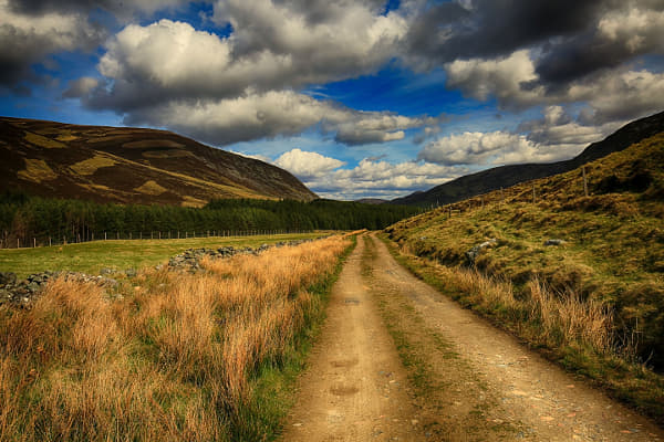 UP THE TRAIL by Hilda Murray | 500px