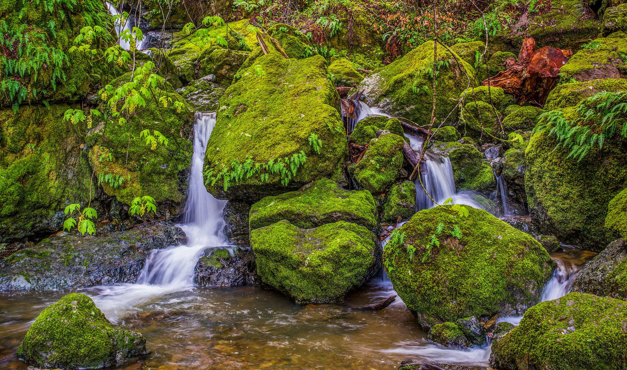 Moss-Covered Rocks and Flowing Water Evoking Serenity and Natural ...